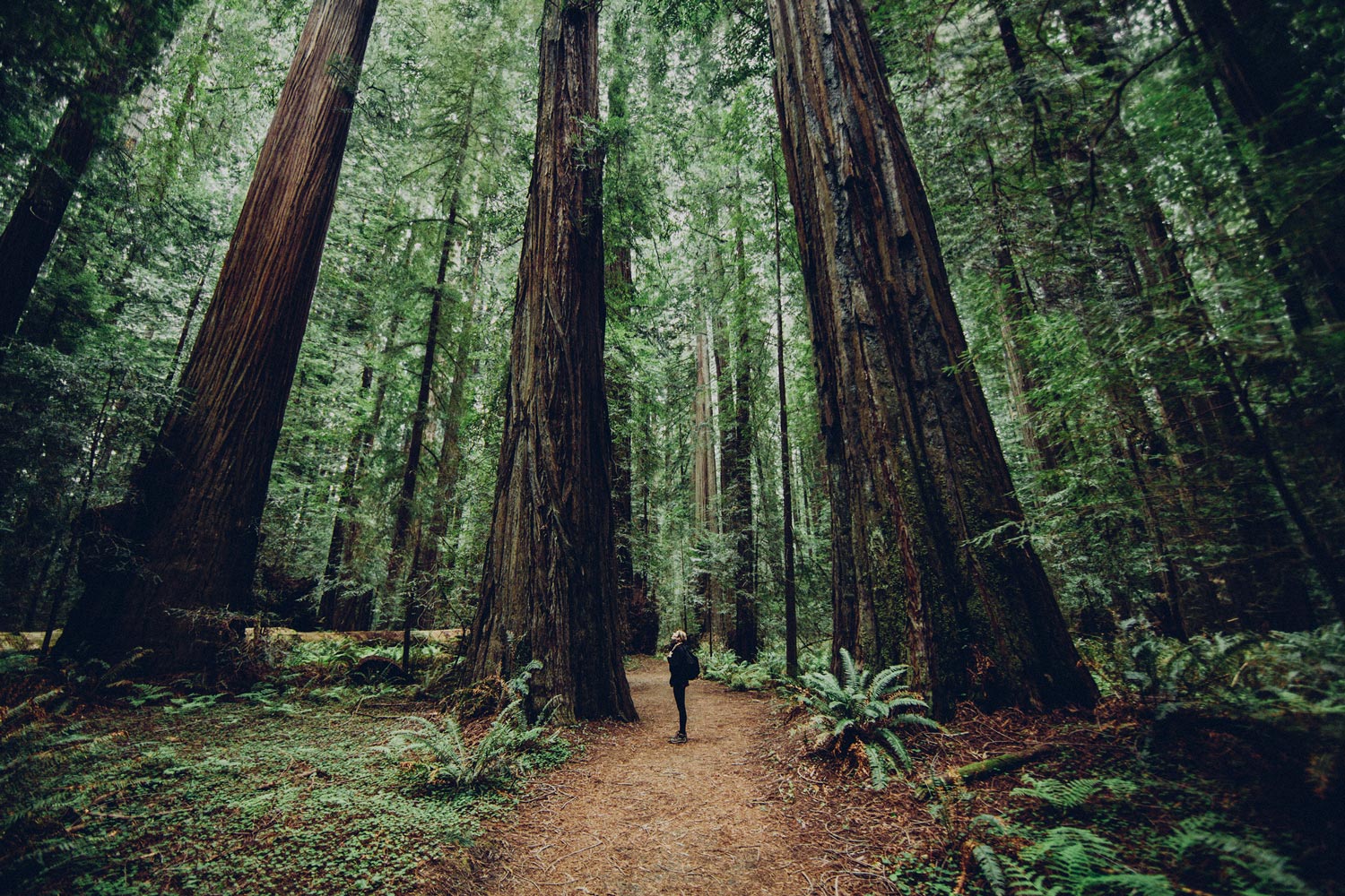 Igor Sanchez | Photographe